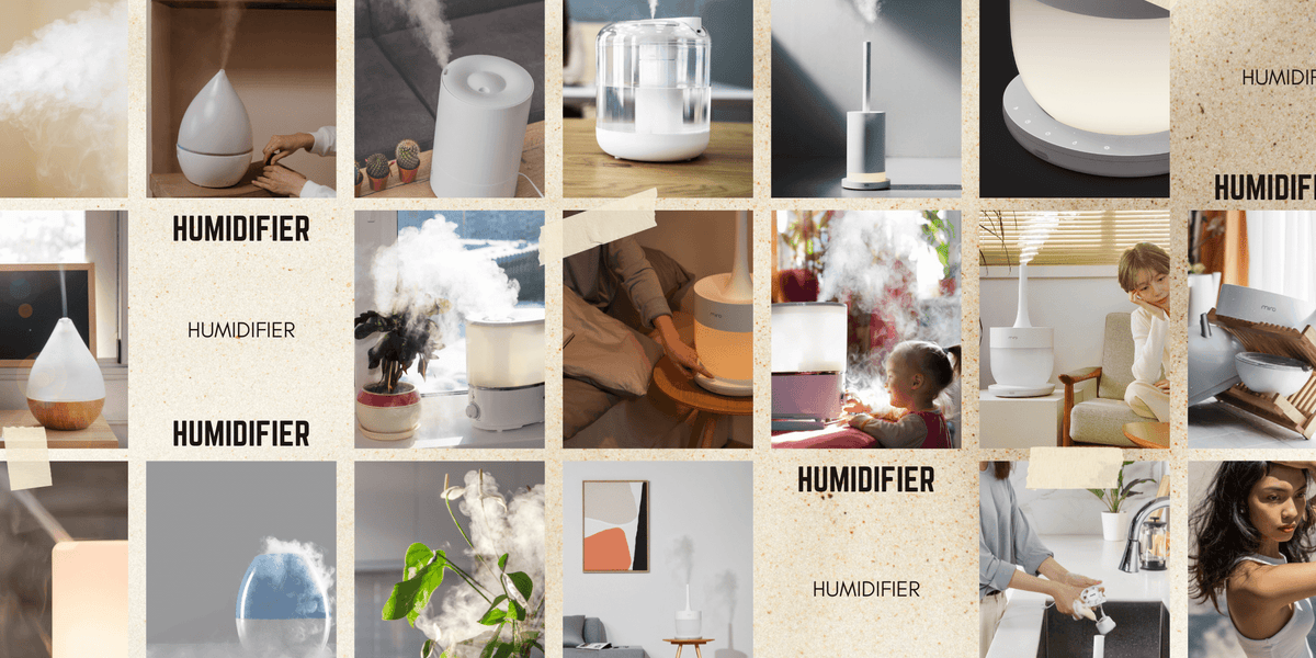 How to Prevent Humidifier Mold: The Definitive Guide — Miro