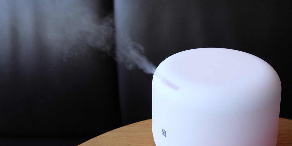 5 Ways to Tell If Your Humidifier Is Working & How to Fix — Miro