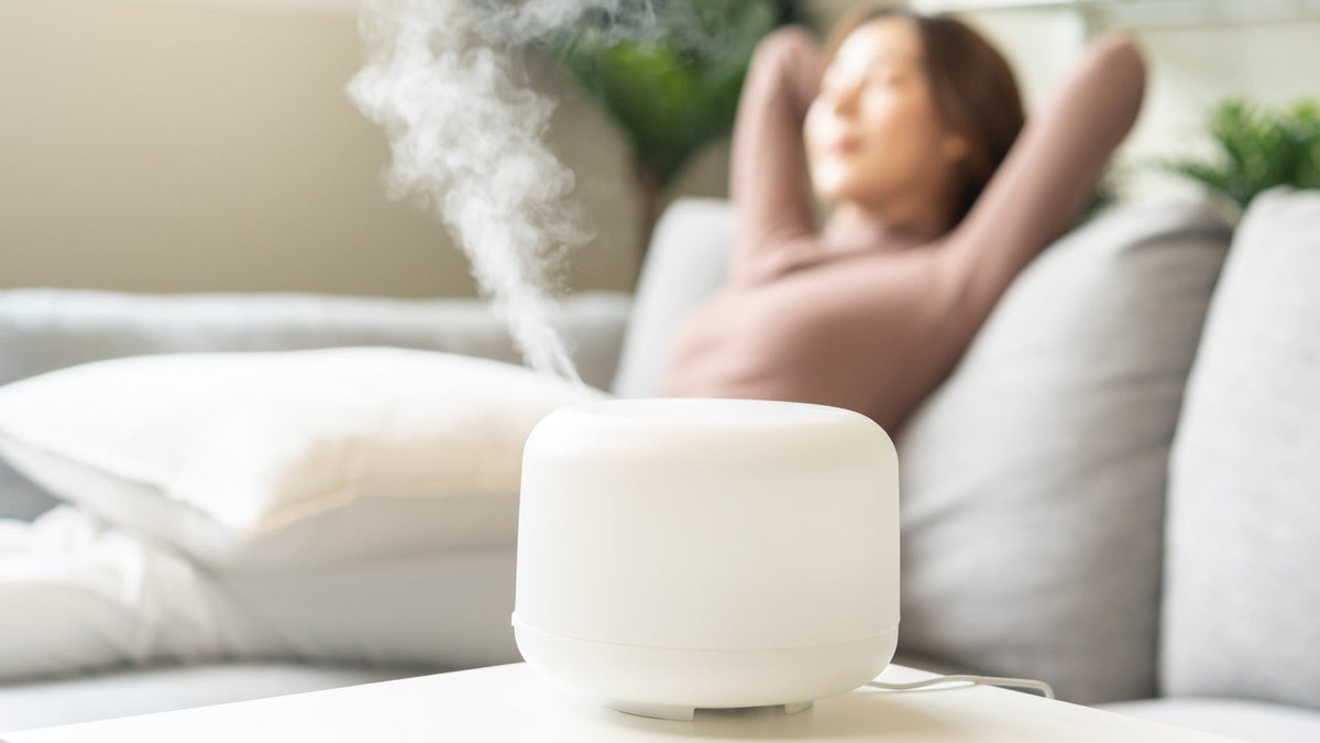 Say Goodbye to Stinky Humidifiers: Tips to Make Your Humidifier Smell ...