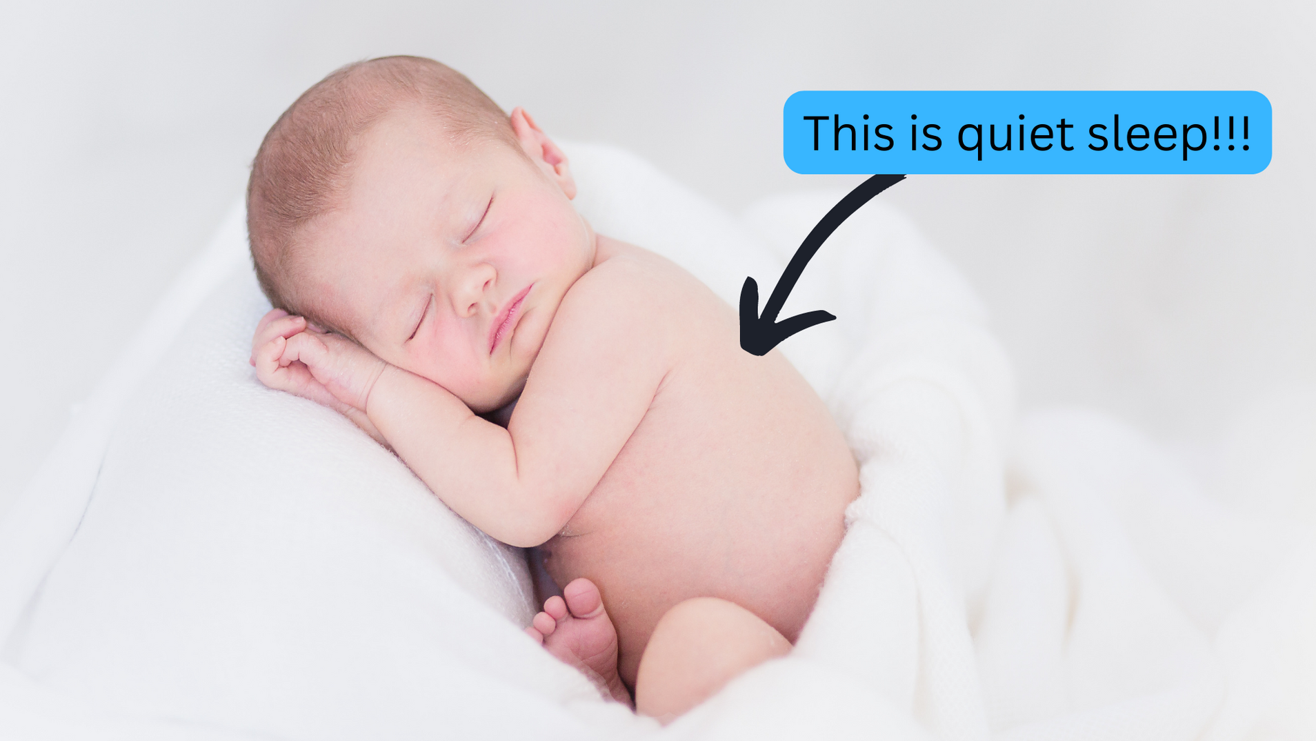 Active Sleep Vs Quiet Sleep Miro active-sleep-vs-quiet-sleep-miro